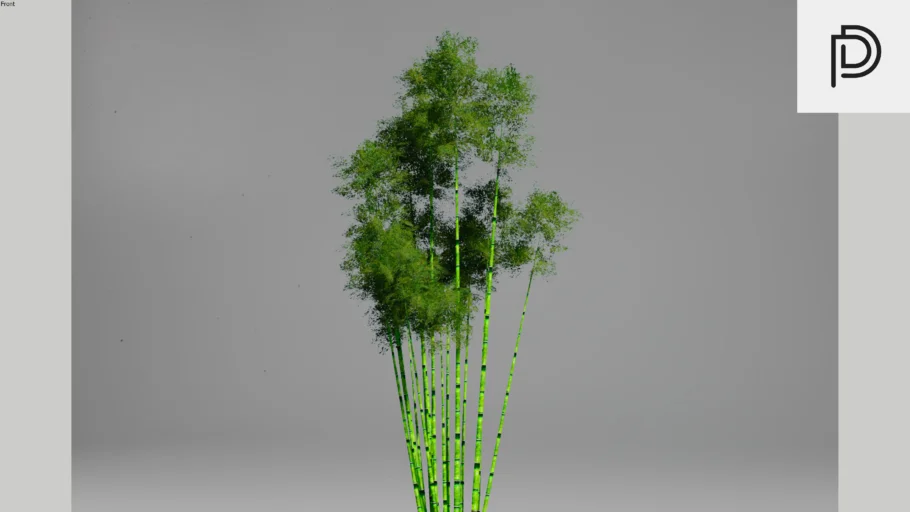 Bamboo6_Cluster_RT | 3D Warehouse
