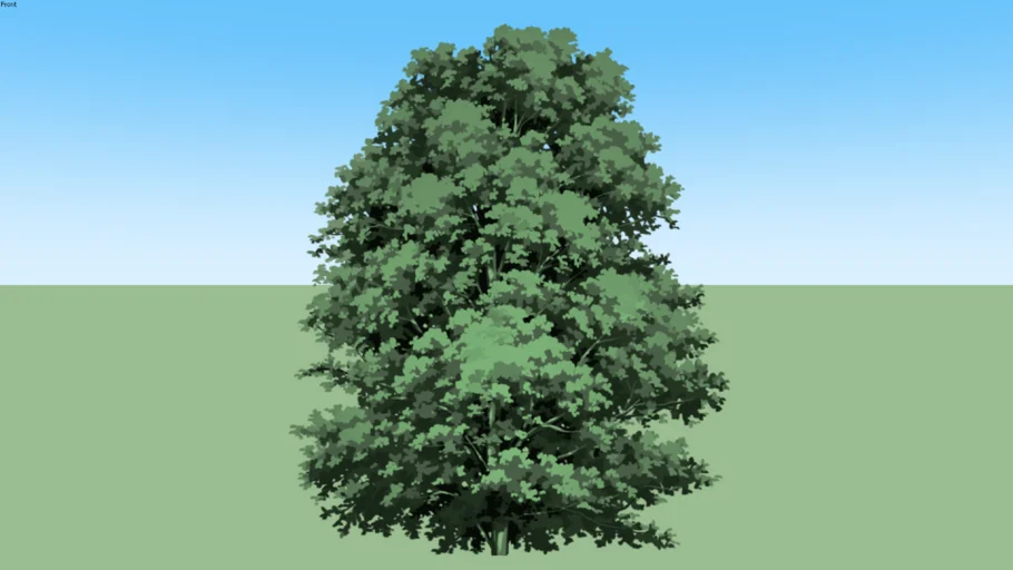 tree04-c | 3D Warehouse