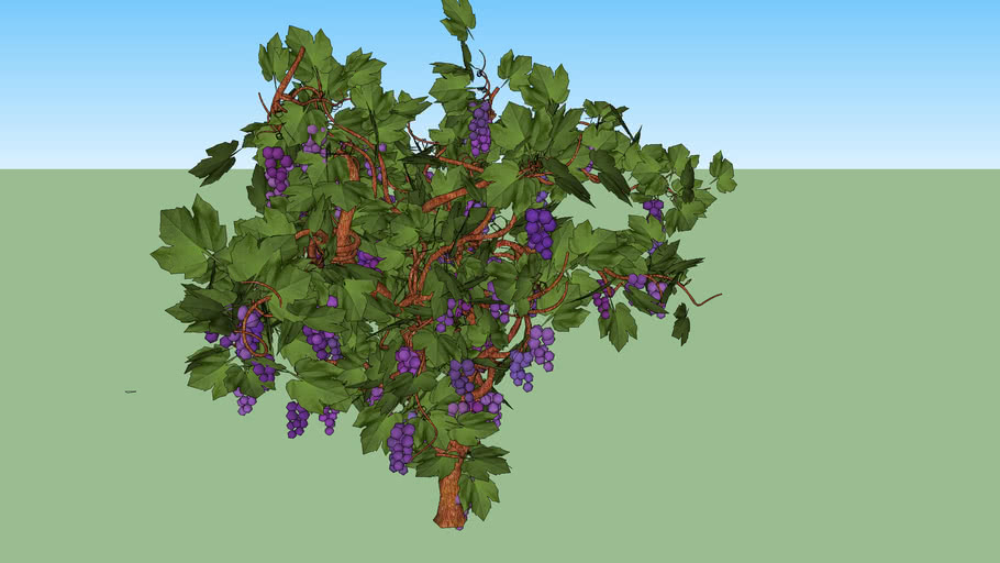 Grape tree | 3D Warehouse