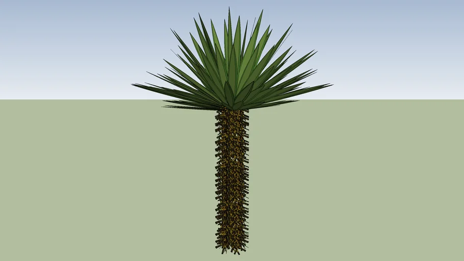 Spanish Dagger - Single | 3D Warehouse