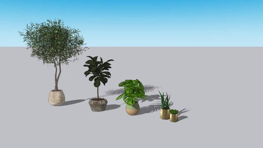 Plants | 3D Warehouse