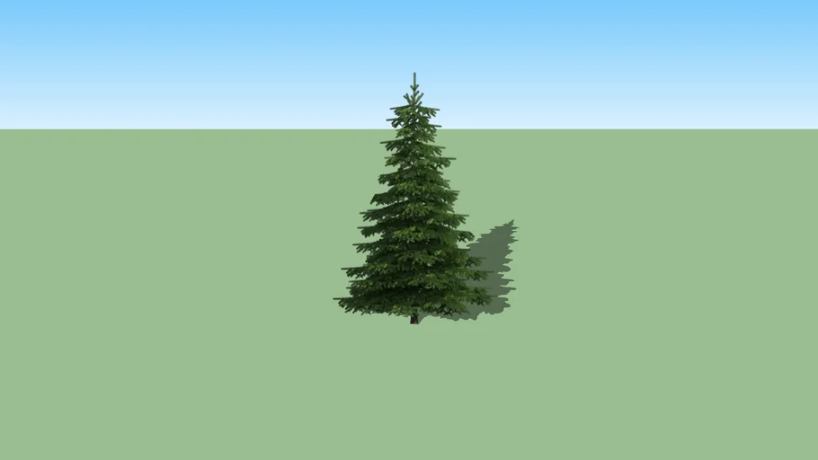 2d Fir tree 02 | 3D Warehouse