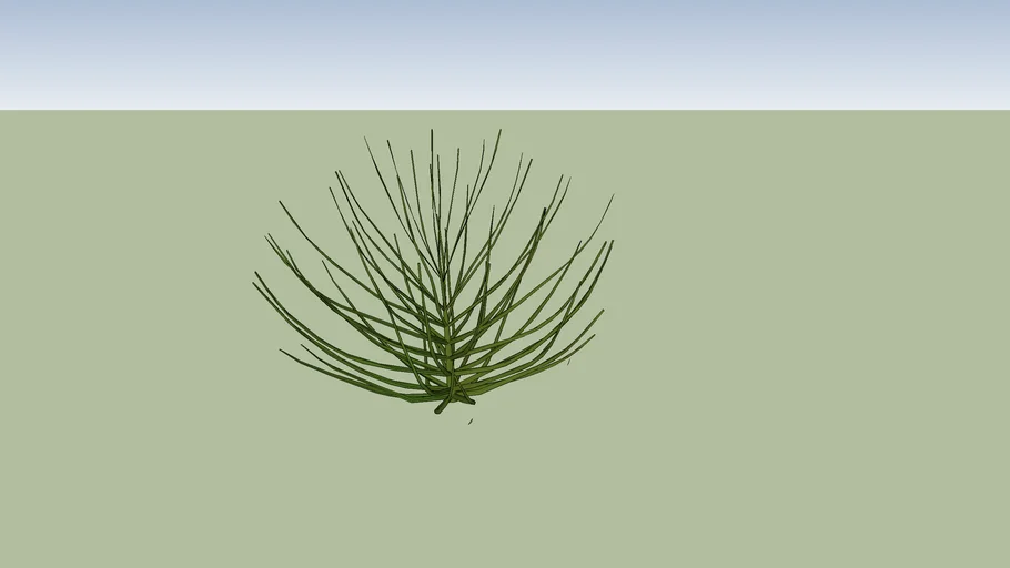 Endless Summer Hydrangea Winter | 3D Warehouse