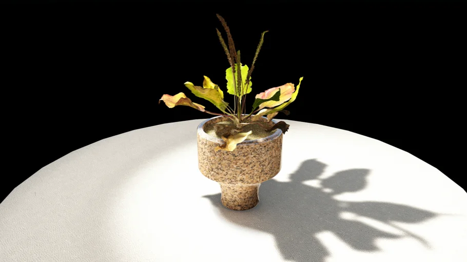 PLANTER POT | 3D Warehouse