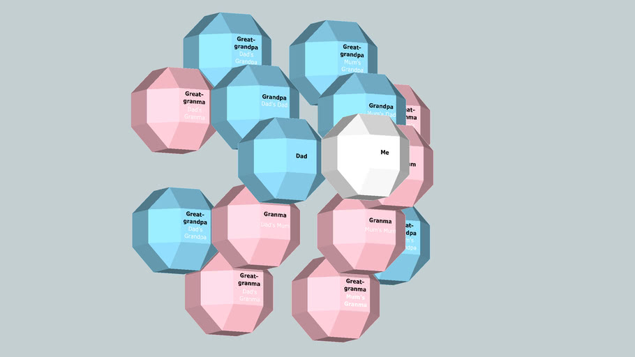 3D Family Tree | 3D Warehouse