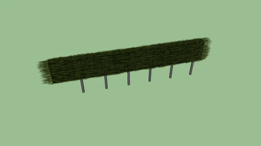 Pleached hedge | 3D Warehouse