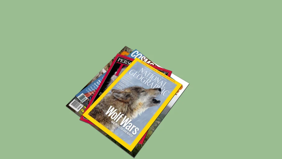 Magazine Stack | 3D Warehouse