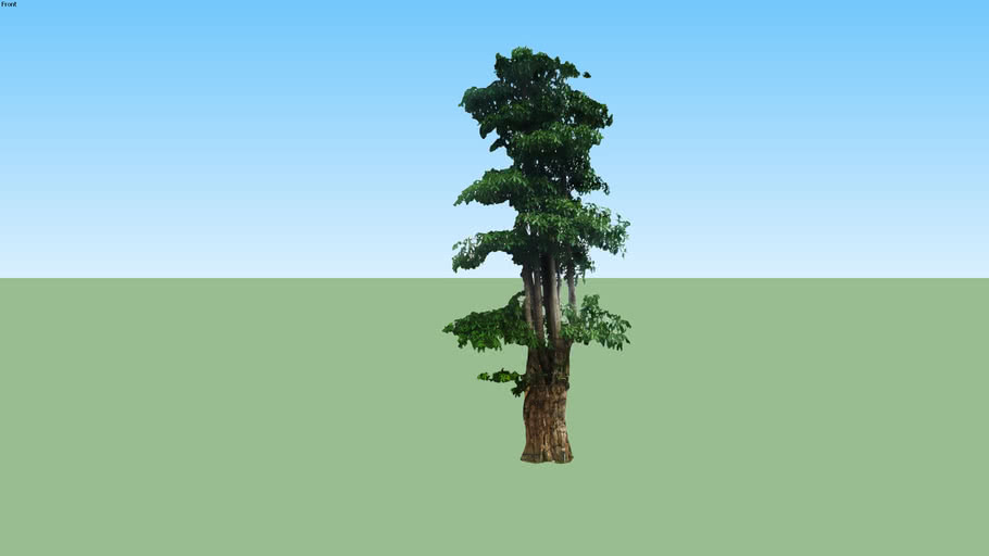 Pulai Eksotik (01) | 3D Warehouse