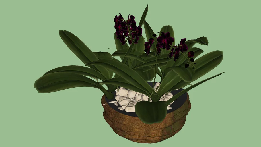 Vaso (52) | 3D Warehouse