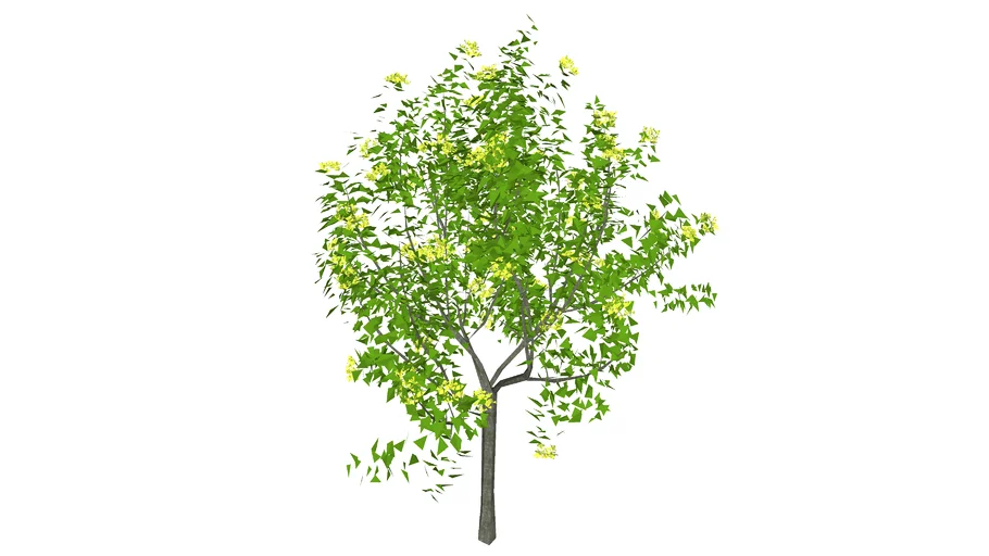 treee | 3D Warehouse