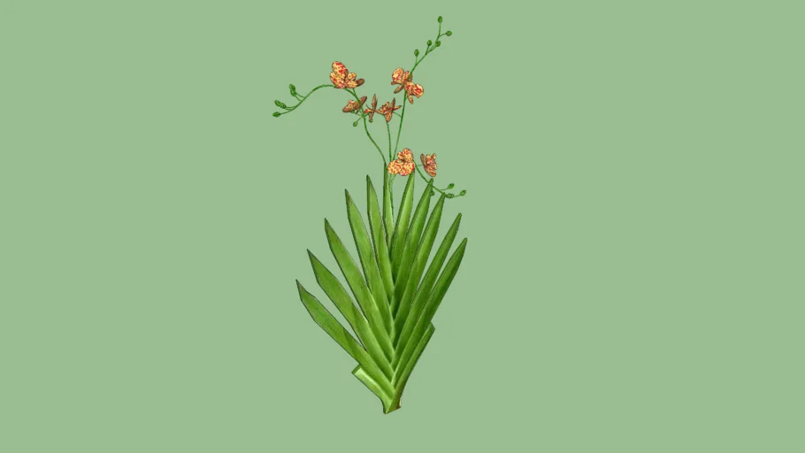 Flor-leopardo – Leopard Lily (Belamcanda chinensis) | 3D Warehouse
