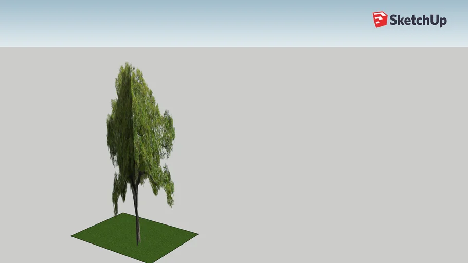 tree | 3D Warehouse