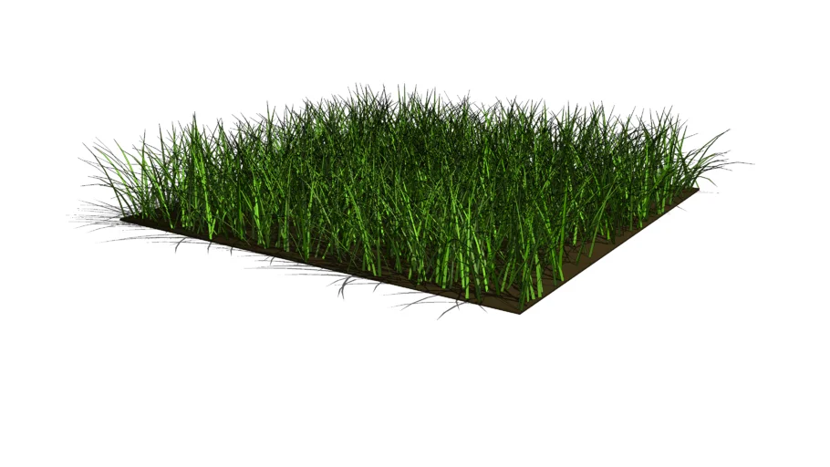 Grass | 3D Warehouse