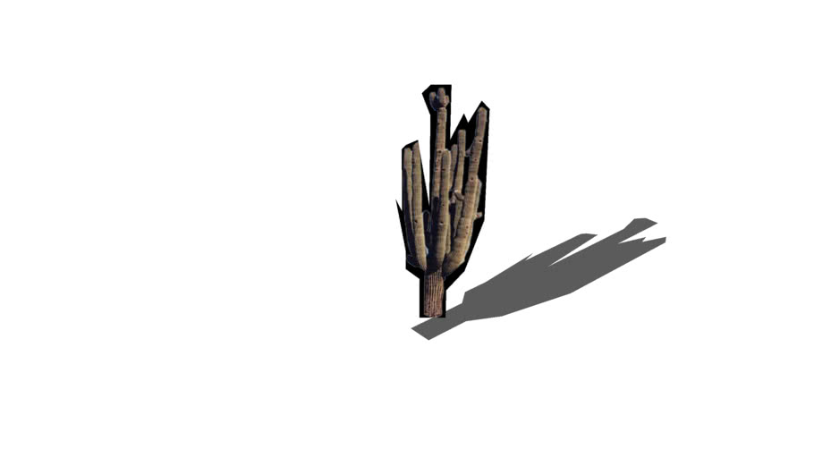 Saguaro | 3D Warehouse