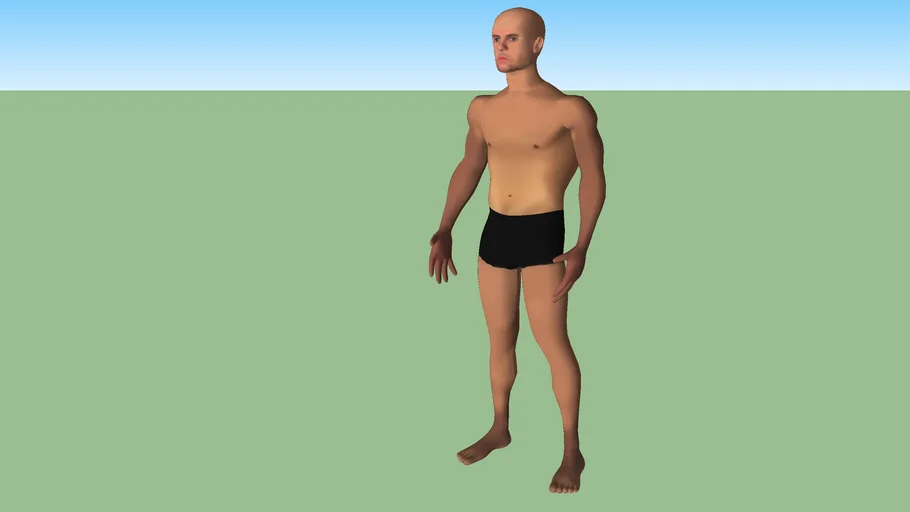 MAN | 3D Warehouse