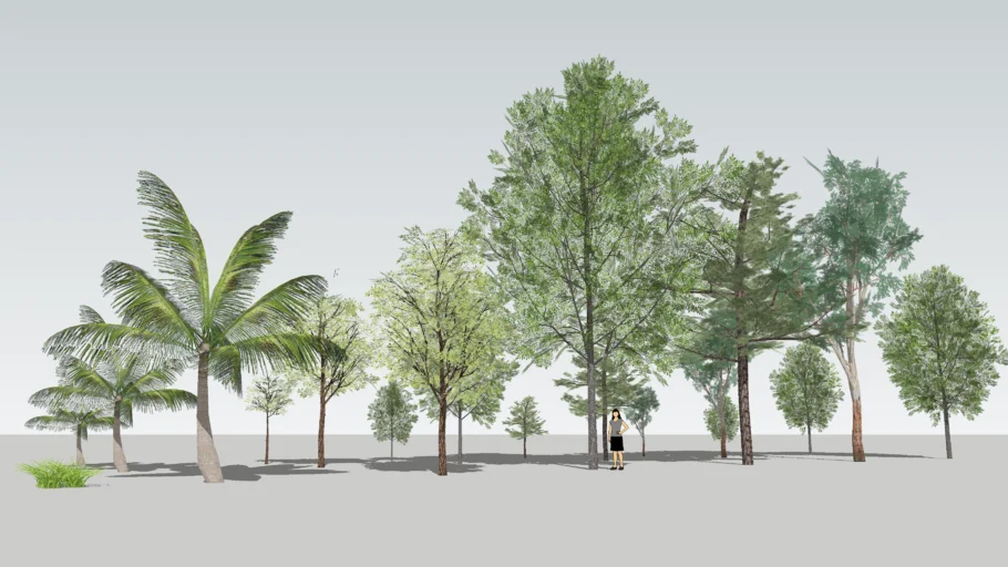 TREES | 3D Warehouse