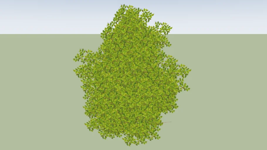 Shrub | 3D Warehouse
