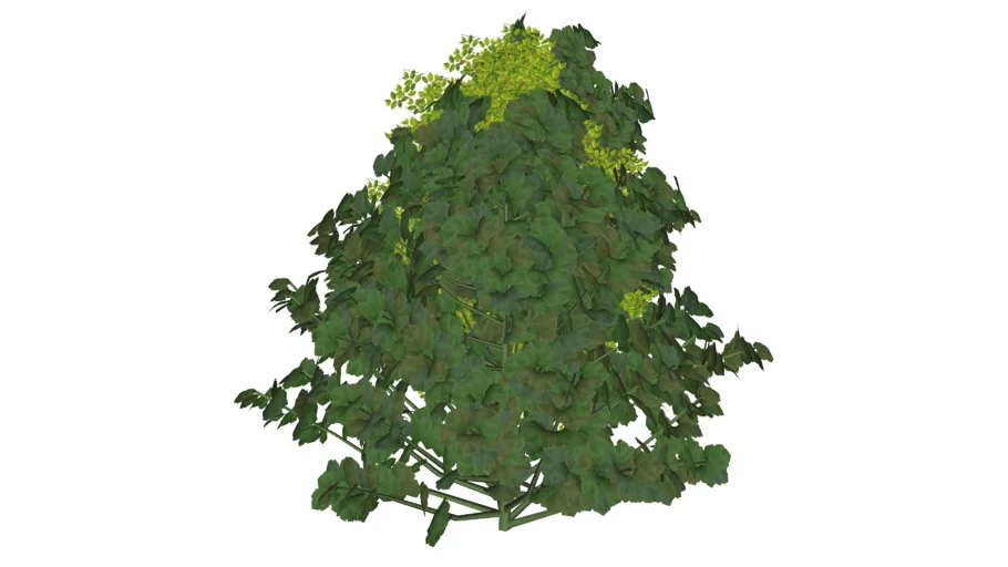 bushes | 3D Warehouse