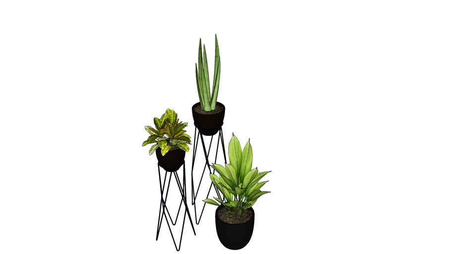 POTS PLANT (11).skp | 3D Warehouse