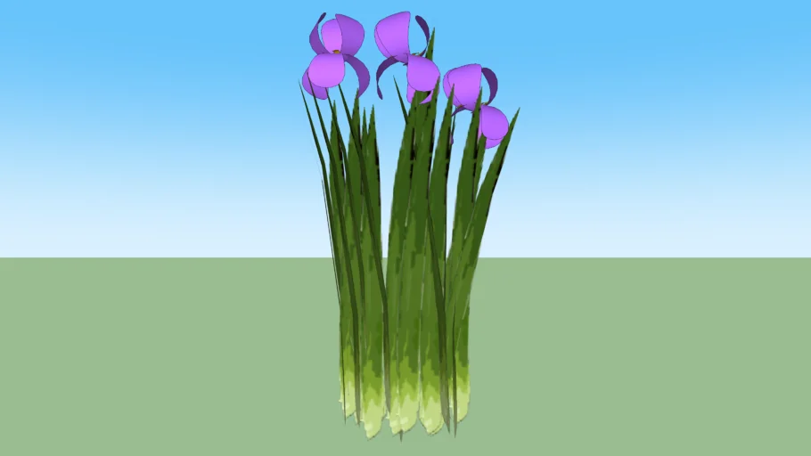 Iris | 3D Warehouse