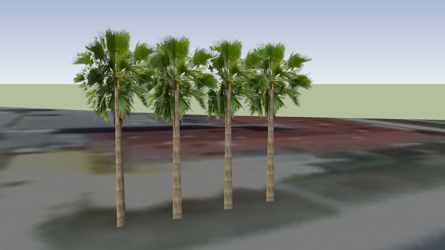 Palms | 3D Warehouse