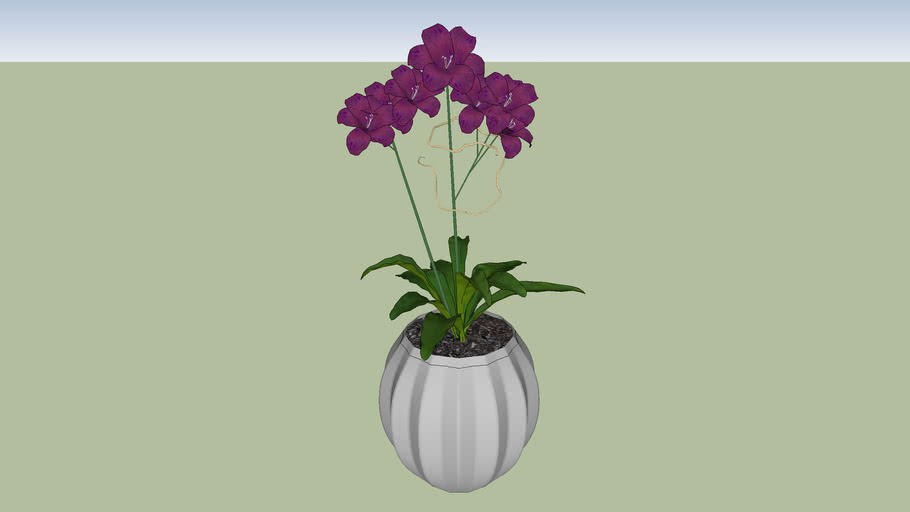 Vaso 63 | 3D Warehouse