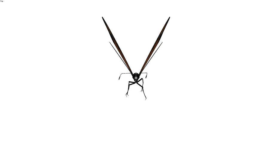 Monarch Butterfly | 3D Warehouse