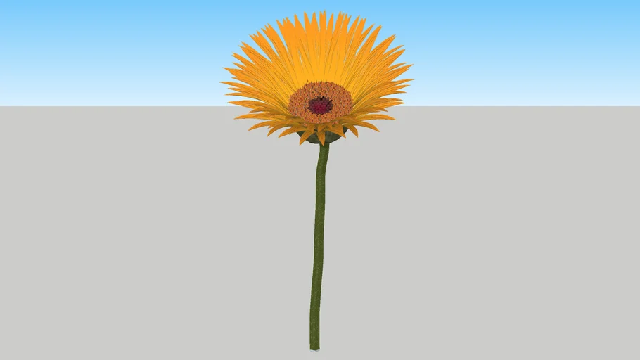 Sunflower | 3D Warehouse