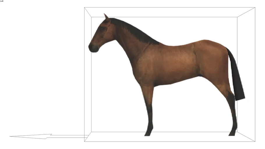 HORSE | 3D Warehouse