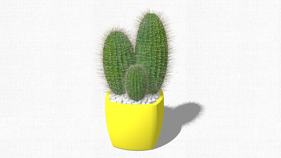 TABLE POTS PLANT (6).skp | 3D Warehouse