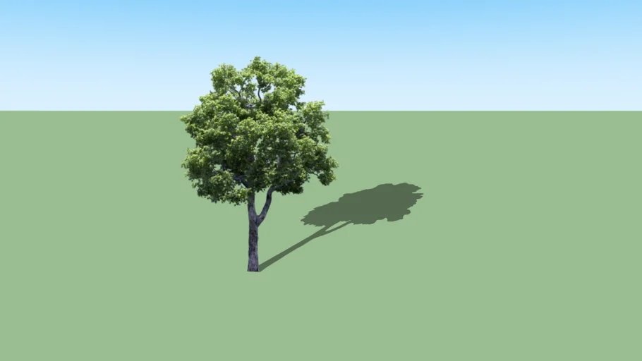 2d tree 010 | 3D Warehouse