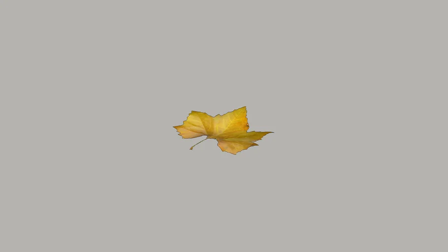 autumn leaf for vray | 3D Warehouse