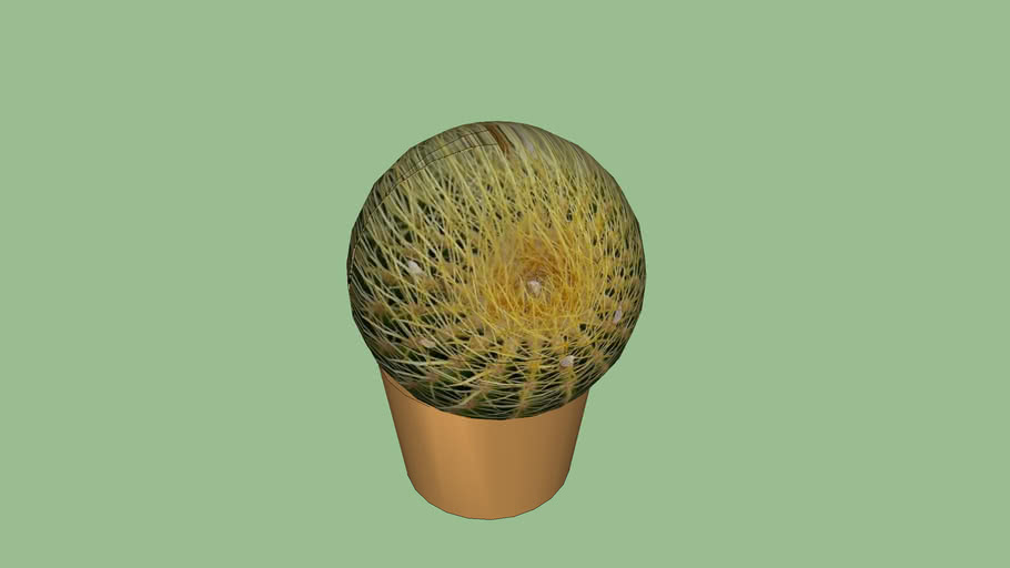 cactus | 3D Warehouse