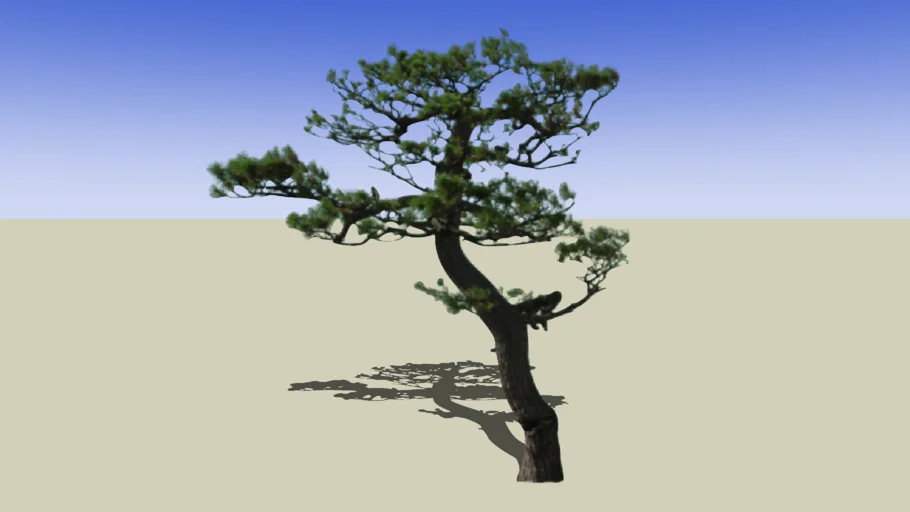 2D Tree_04 | 3D Warehouse