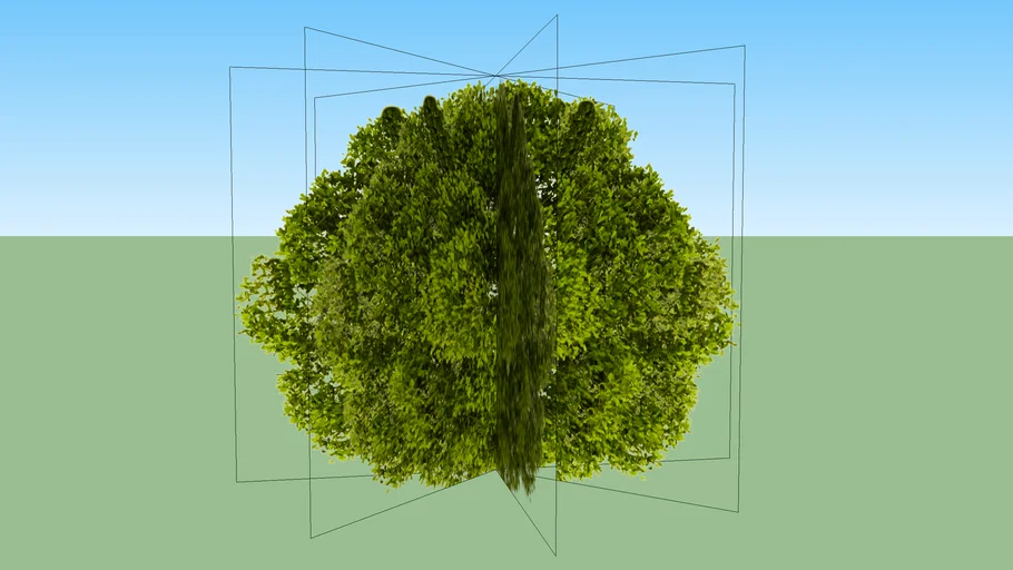 GREEN BUSH | 3D Warehouse