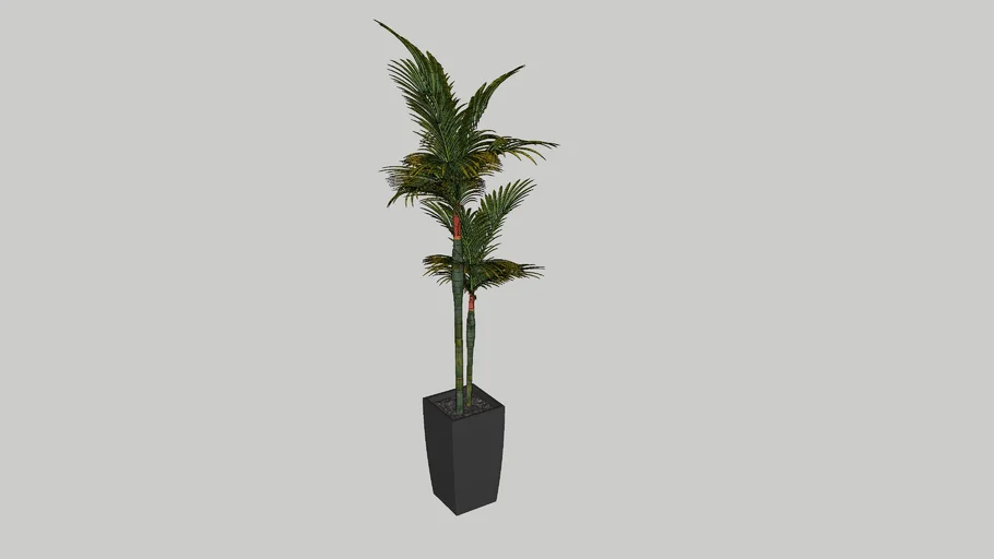 Plants | 3D Warehouse