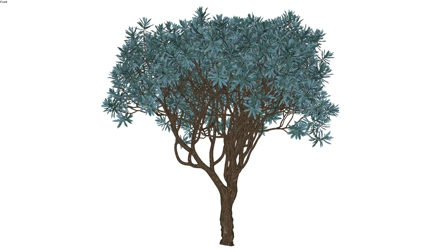 Arvore 01 | 3D Warehouse