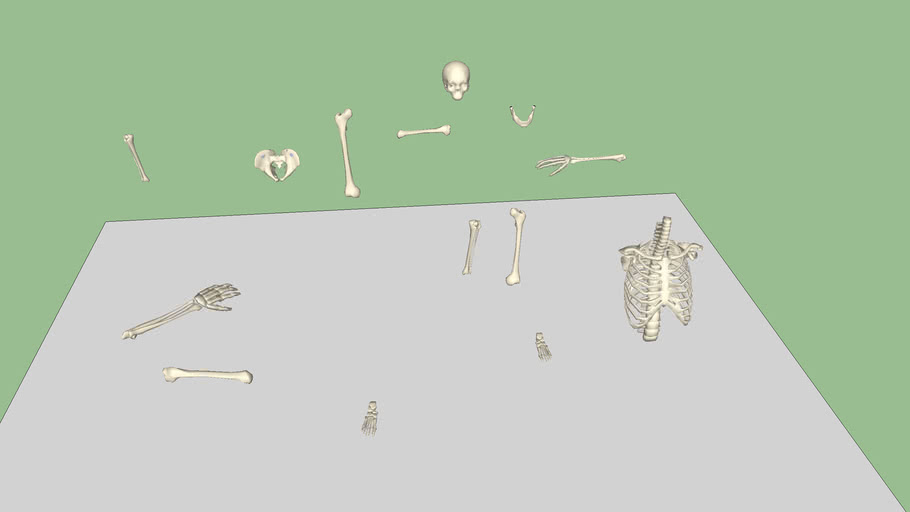 forensics lab | 3D Warehouse