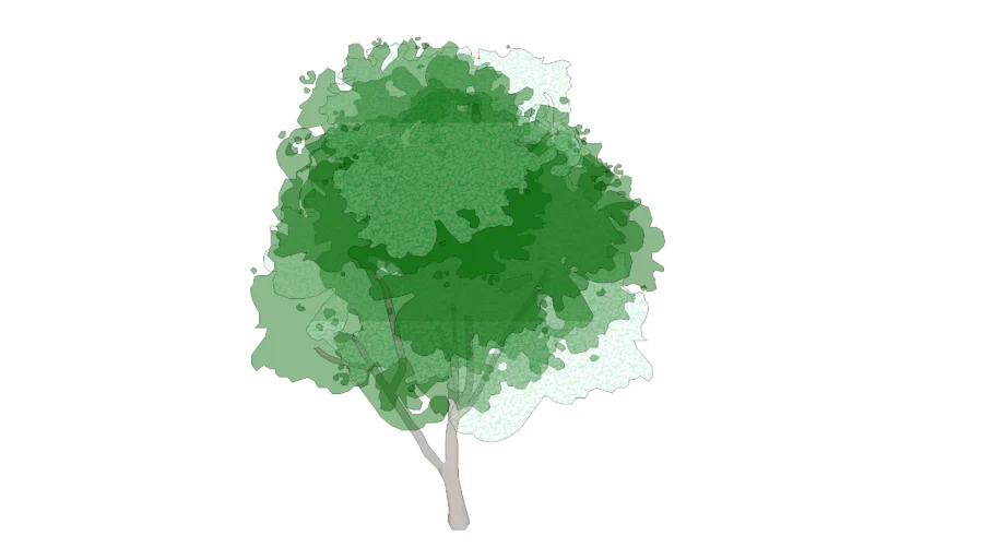 Tree - 2.5d | 3D Warehouse