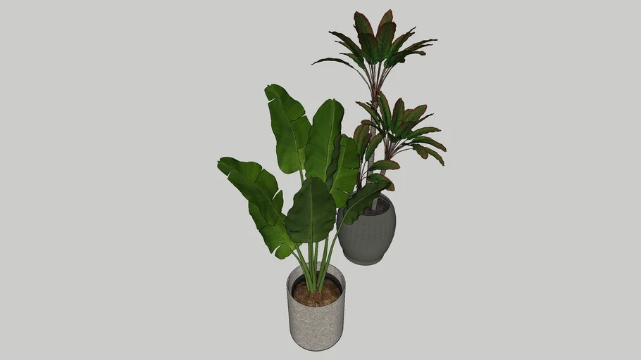 Plant 15 | 3D Warehouse