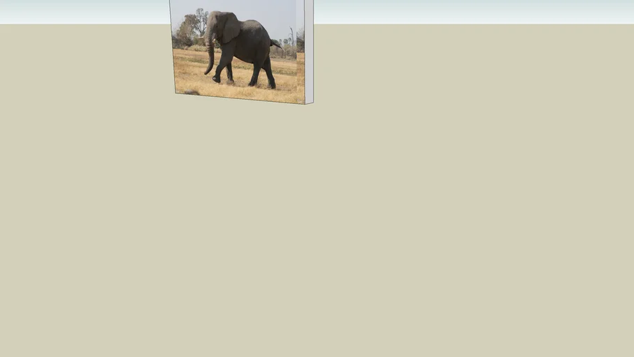 elephant portrait 2 | 3D Warehouse