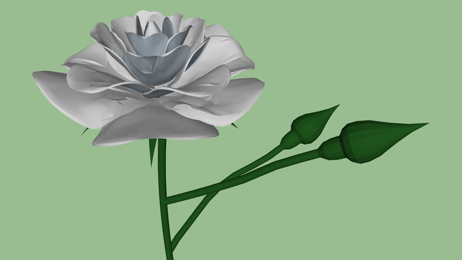 Rose | 3D Warehouse
