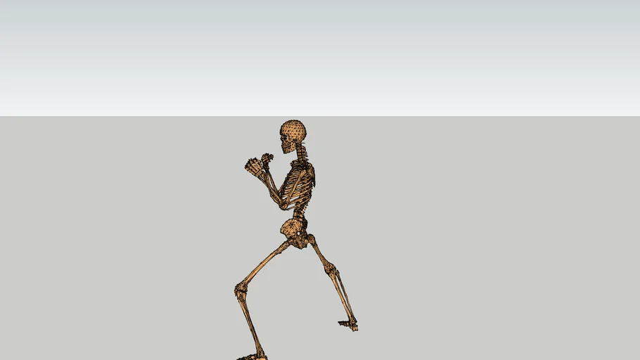 Skeleton Remake | 3D Warehouse