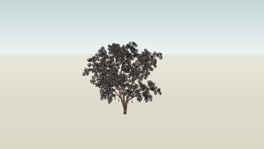 tree with lights | 3D Warehouse