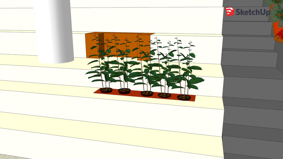 Atrium | 3D Warehouse