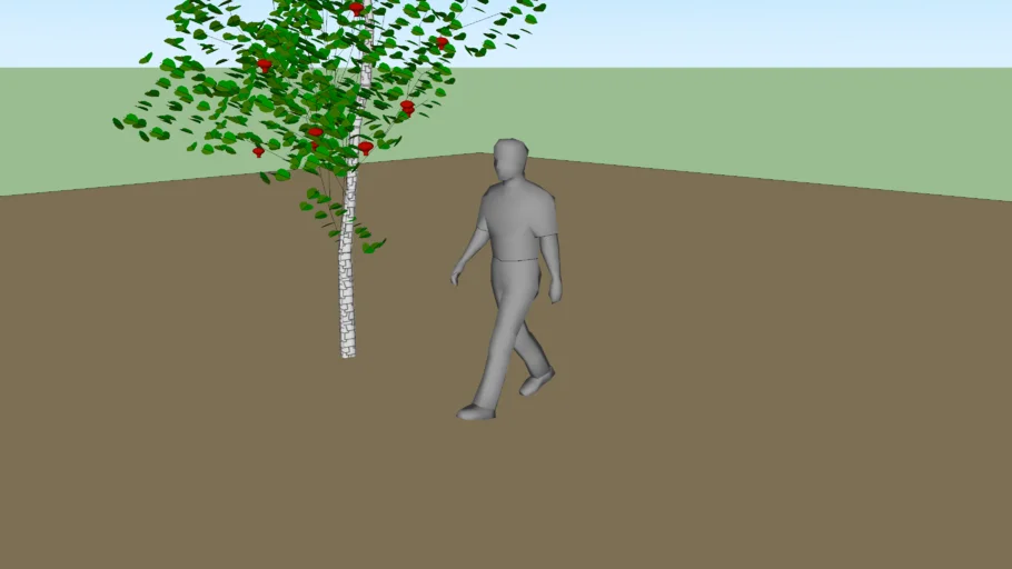 Apple tree. | 3D Warehouse