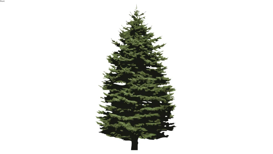 2D Tree Conifer 2 | 3D Warehouse