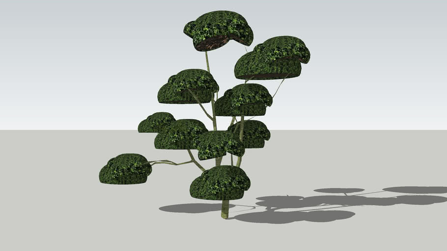 Sculpted Tree | 3D Warehouse