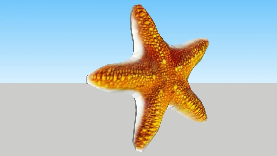 Starfish | 3D Warehouse