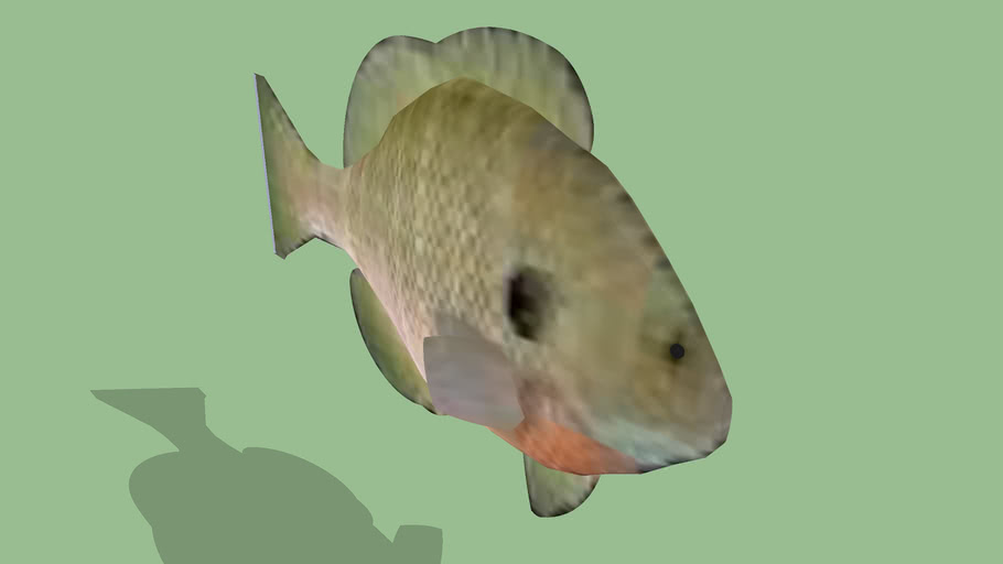 3D Textured Fish :please rate: | 3D Warehouse
